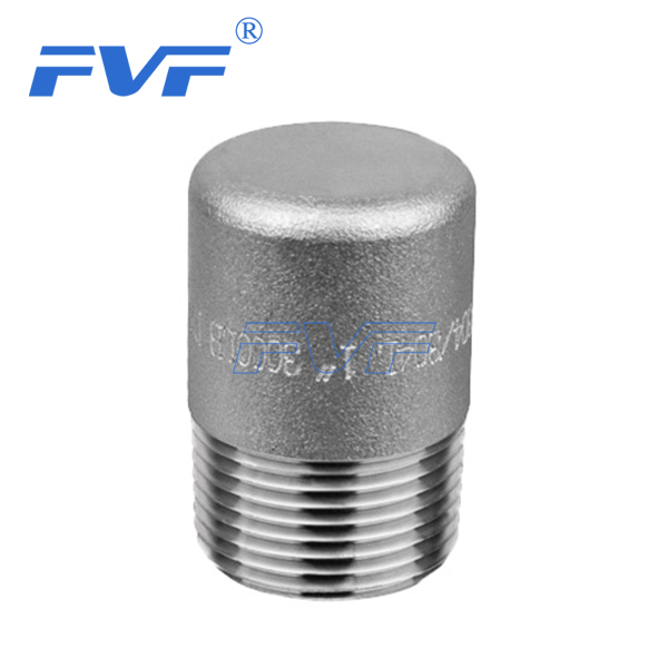 3000Psi Duplex Steel Forged Plug - FVF INDUSTRY CO., LIMITED